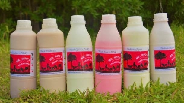 Tagaytay's Mr. Moo delivers to these Metro Manila cities