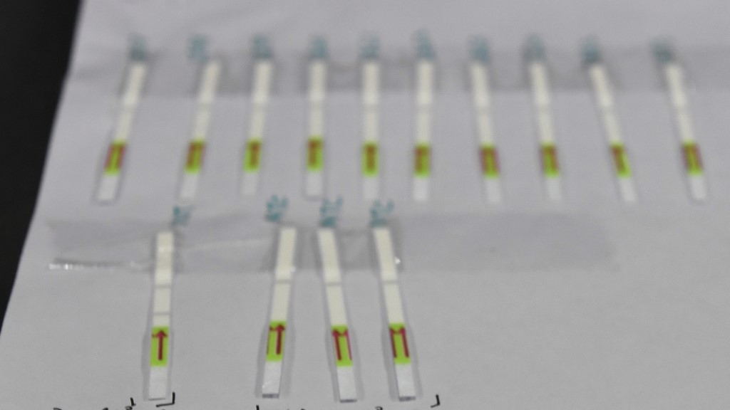 India to roll out quick and cheap coronavirus paper test